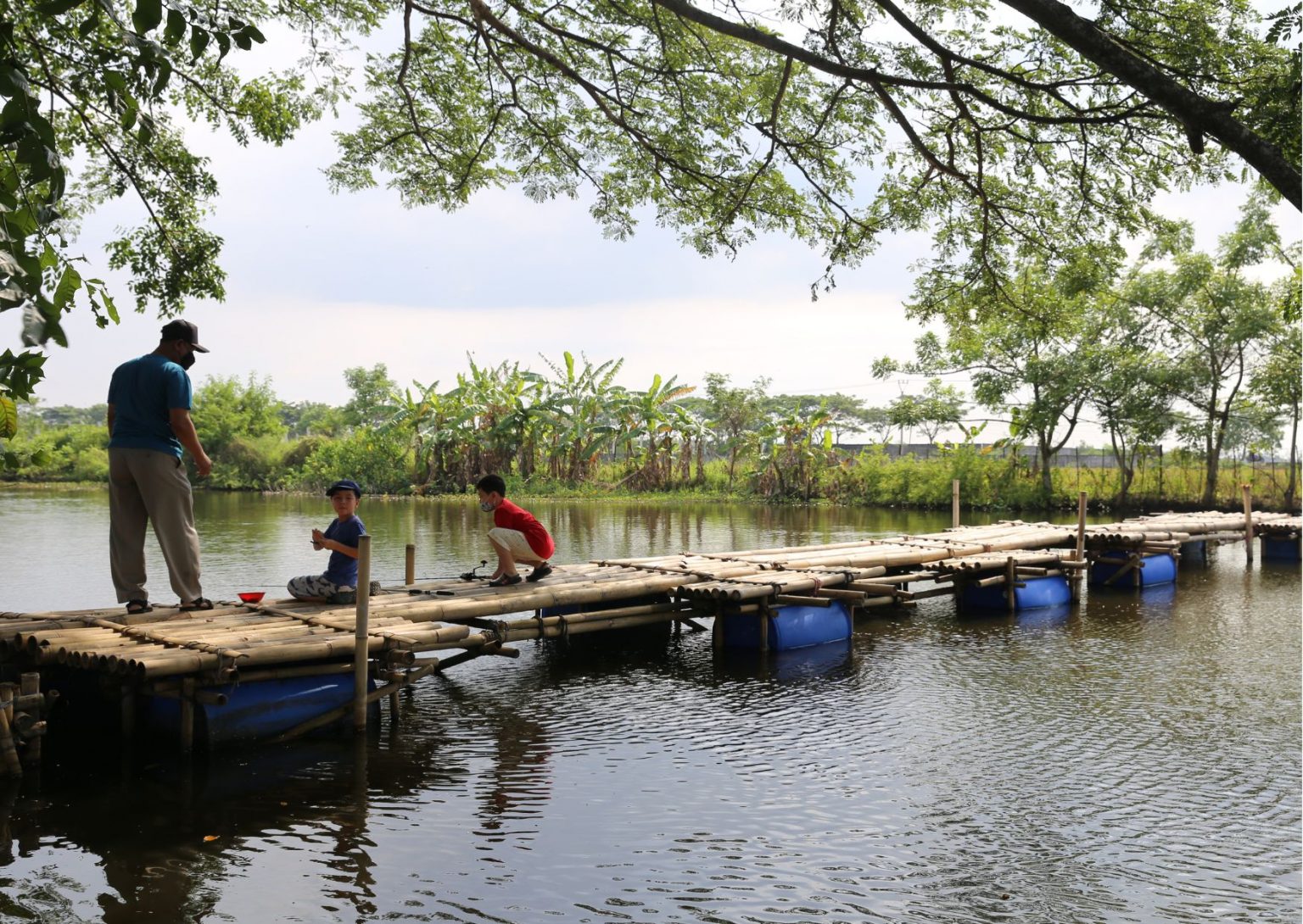 Padi Padi – Tangerang – Jakarta_1 – Team Curious